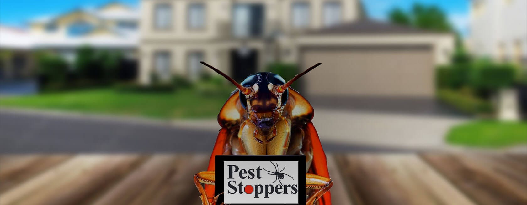 Termite & Pest Control in Cypress, TX | Pest Stoppers